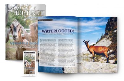 Goat Journal Print/Digital - Goat Journal